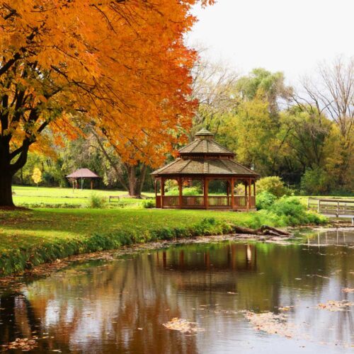 About Megna Financial - Megna Financial